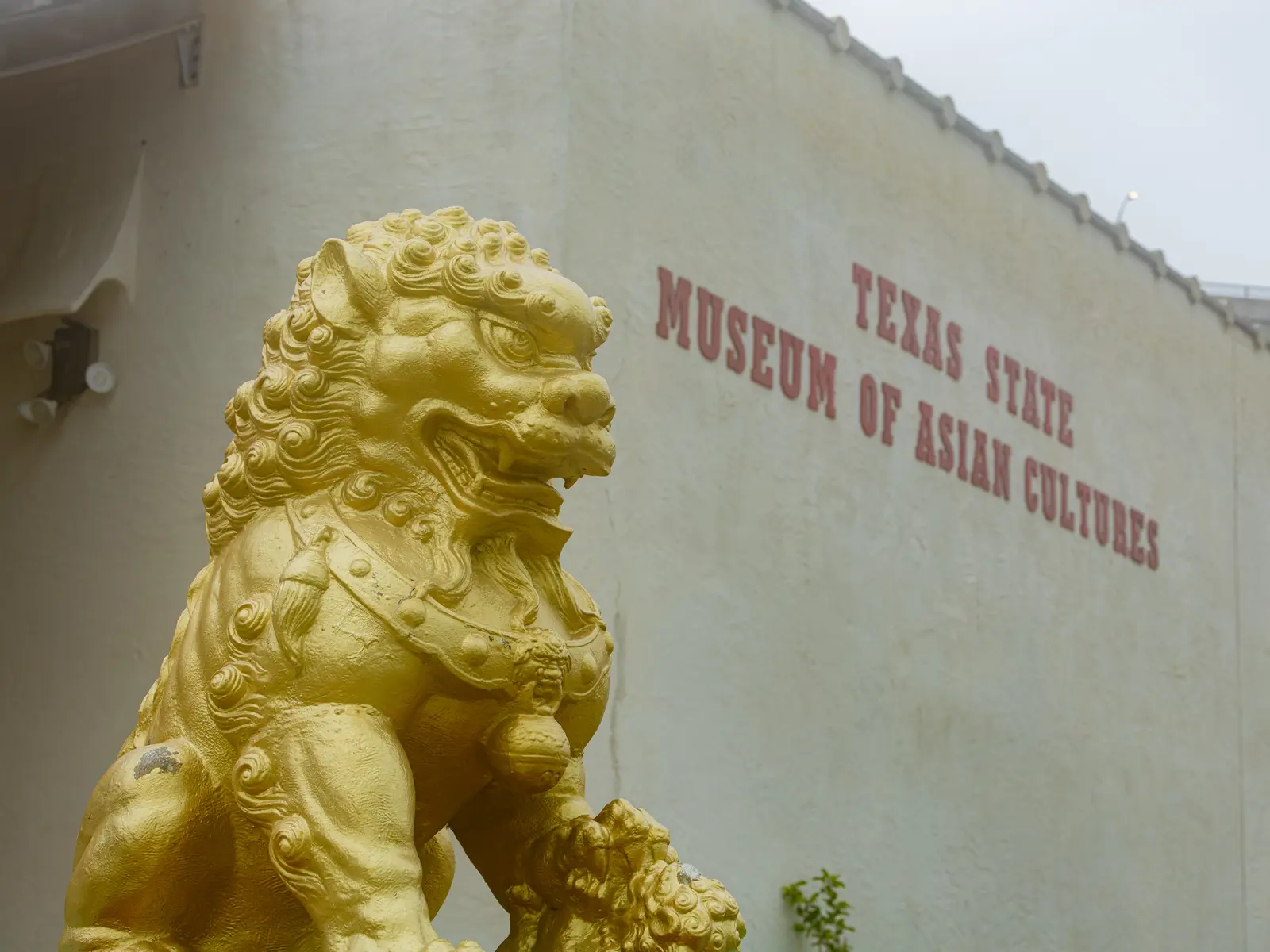 Arts, Culture and Heritage | City of Corpus Christi