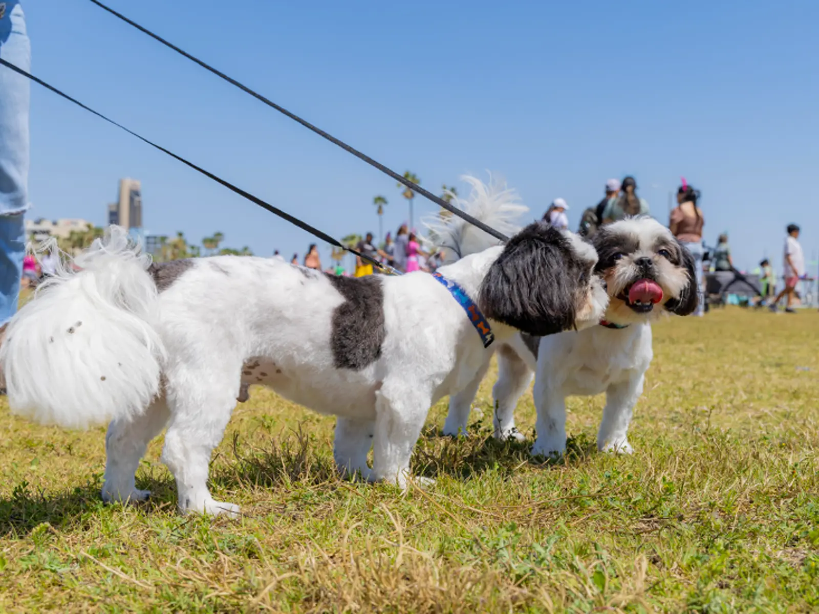 Parks and Facilities | City of Corpus Christi