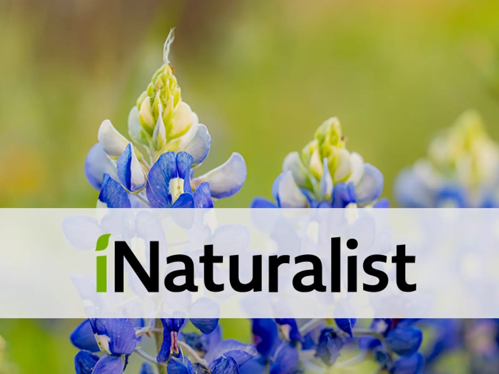 Oso Bay Wetlands Preserve and Learning Center | City of Corpus Christi